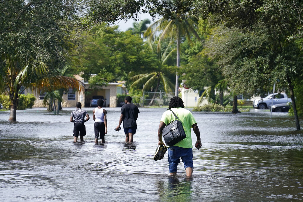 It's Cleanup Time In Florida After Tropical Storm Eta Causes "100-Year ...