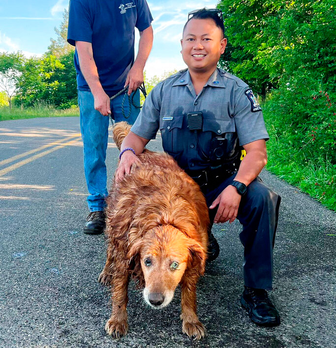 A Tight Fit, But State Trooper Crawls 15' Feet In, Rescues Trapped Dog ...