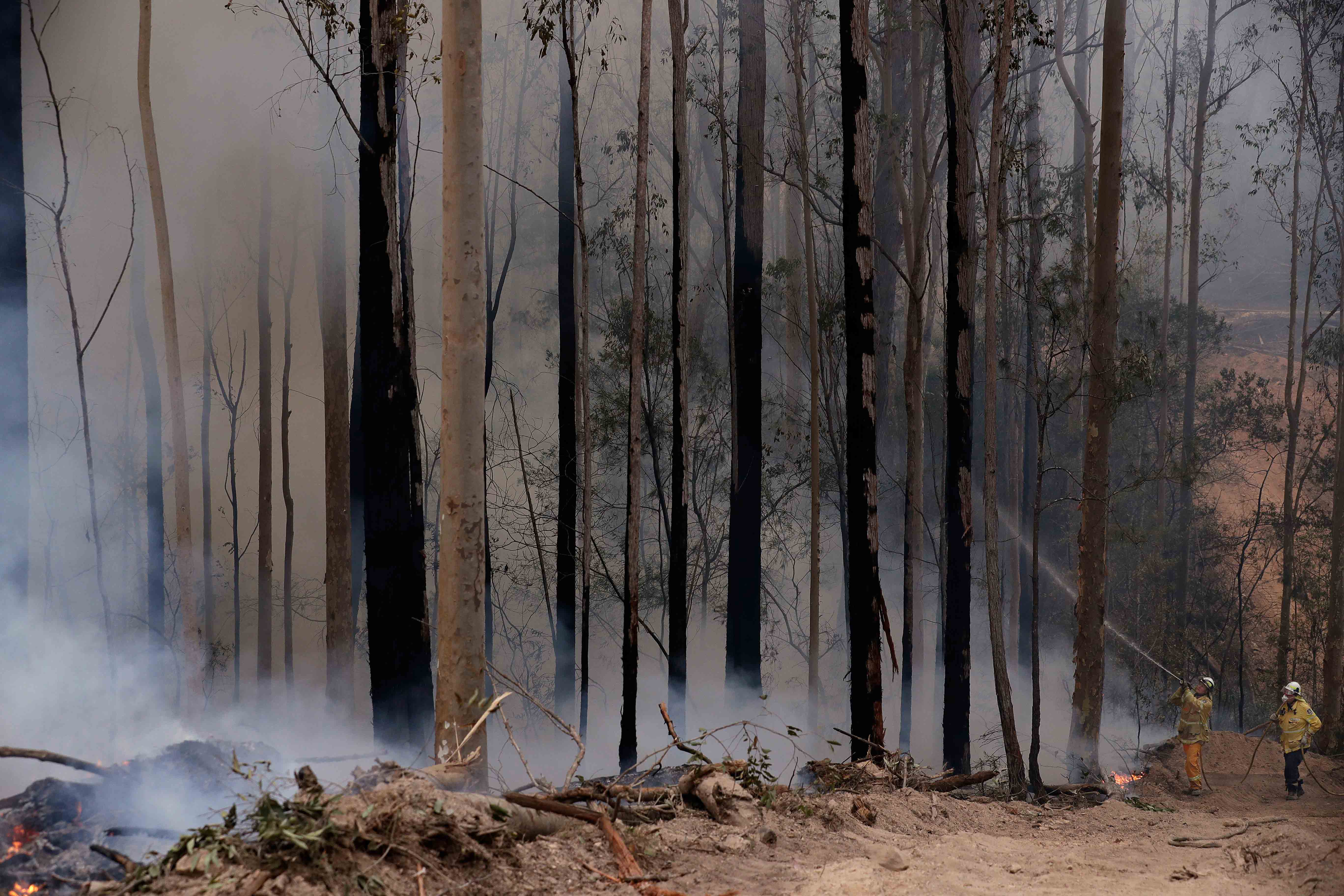 Firefighters Move From Defense To Offense In Australian Wildfire Battle ...